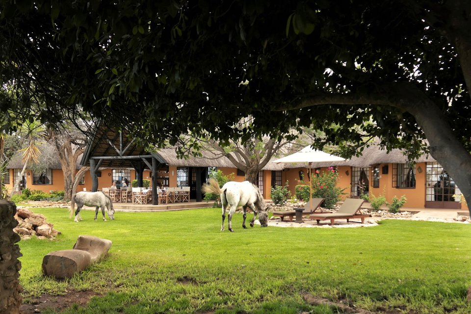 Kambaku Wildlife Reserve – Safari holidays in our private game reserve ...