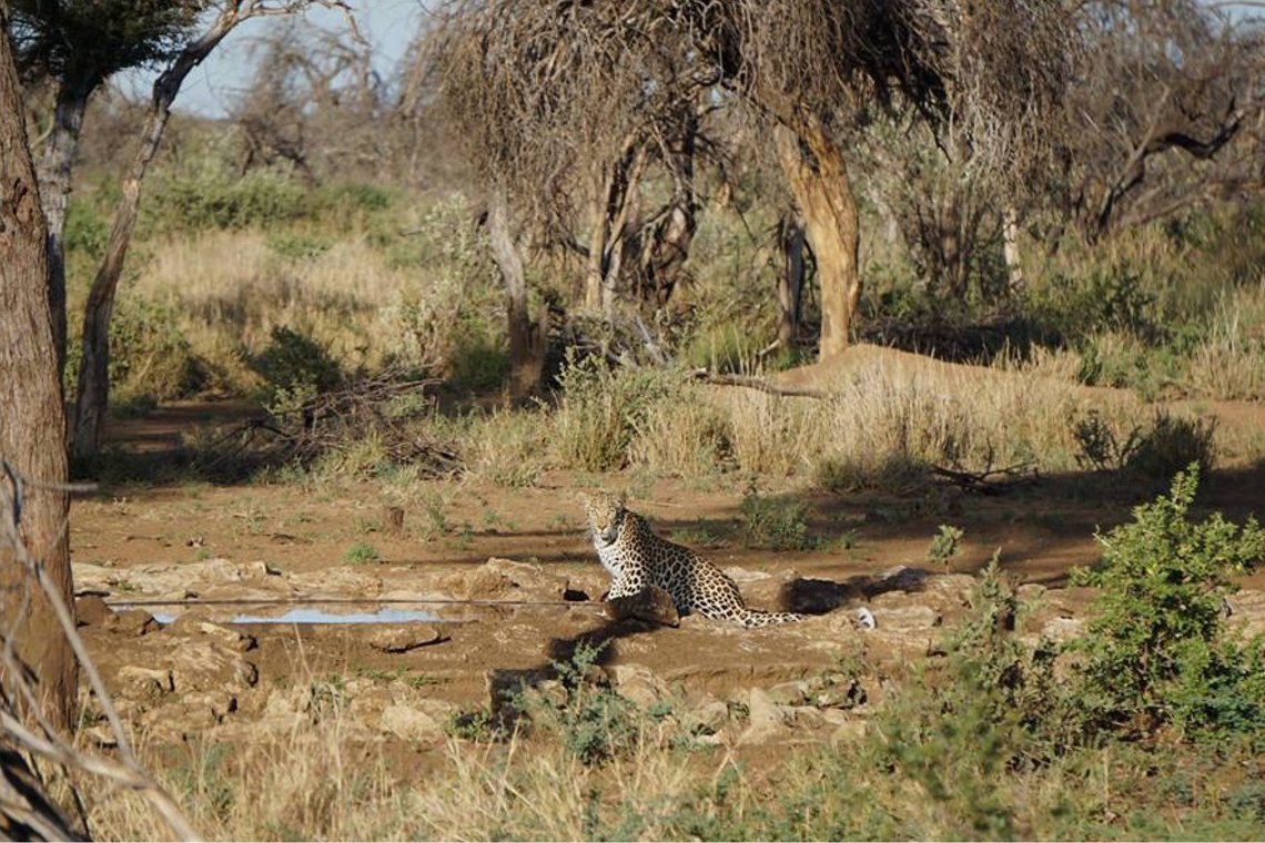 game drive in namibia, horseback riding and hiking in the savannah ...