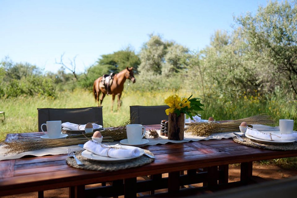 Safari Lodge & Camp in Namibia | Kambaku