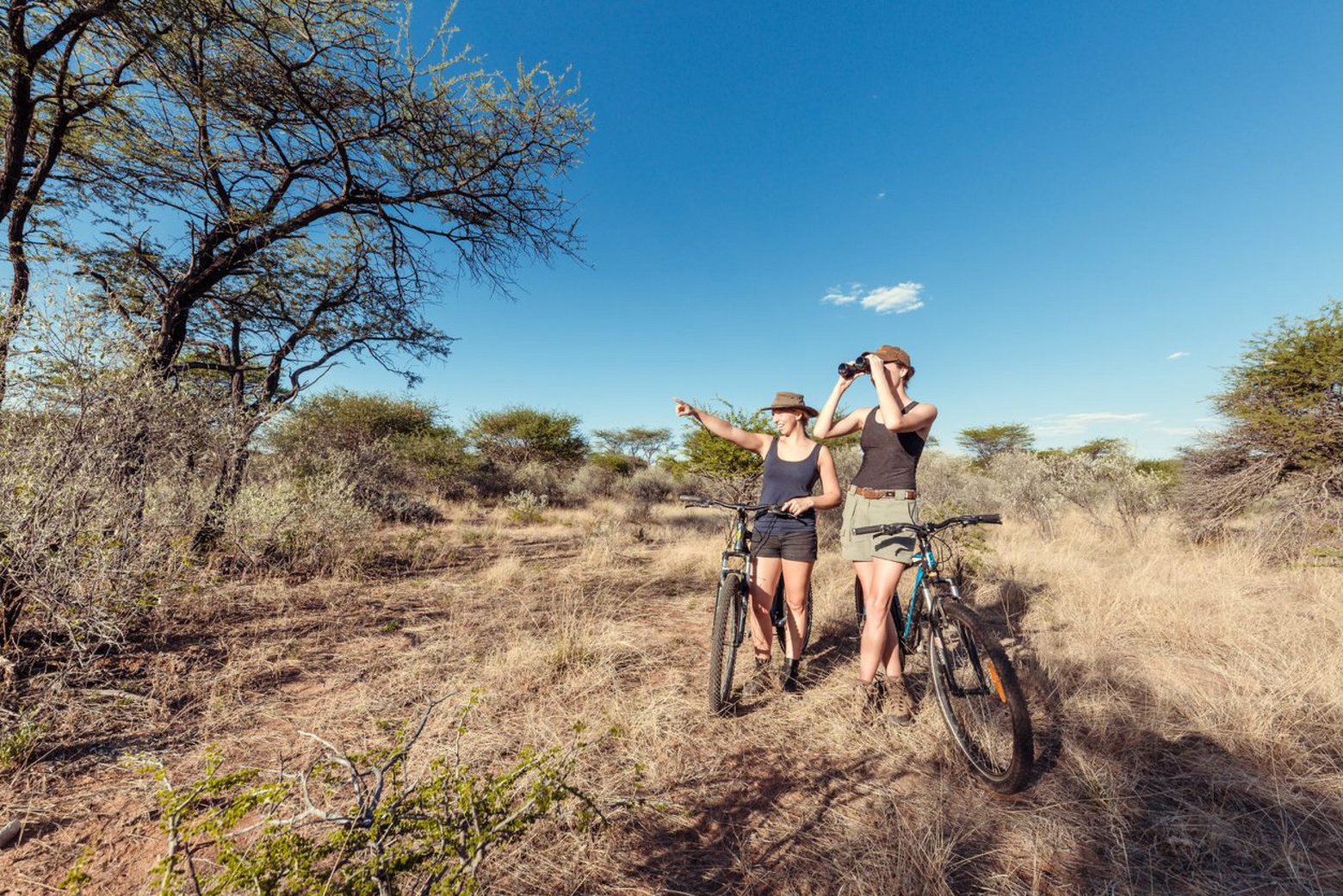 Kambaku Safari Lodge in Namibia offers great leisure and sport ...