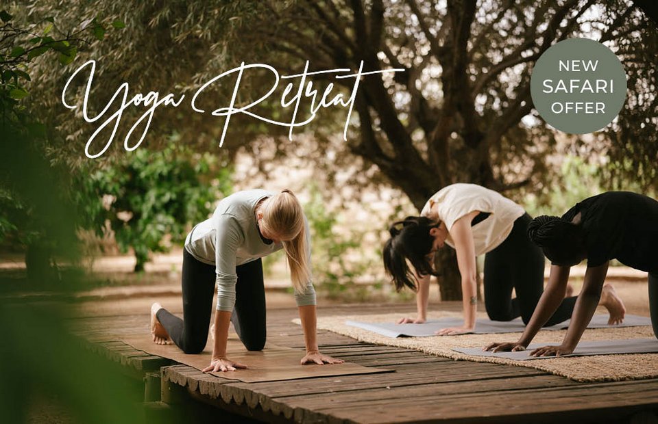 Yoga in Namibia - Combine Yoga Holidays and Wildlife | Kambaku | Kambaku